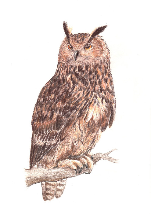 MidNat - Hubrokartlegging